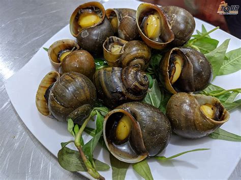 Vietnamese Street Foods A Guide To Snails On A Plate I Tour Vietnam