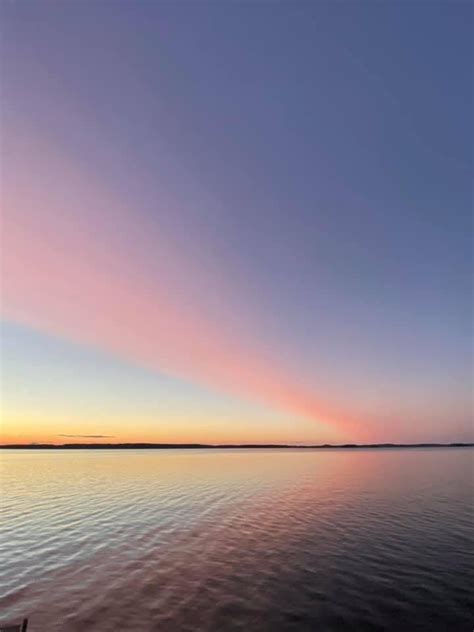 Love Your Eyes 2024 See The Possibilities