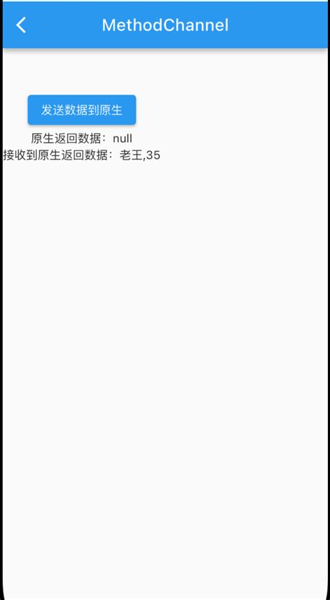 iOS项目 Swift 使用Flutter进行混合开发 玉米炖排骨 博客园