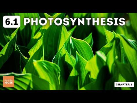 Understanding Conditional Contradiction And Identity Equations Galaxy Ai Galaxy Ai