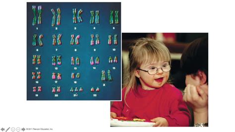 Chapter 15 Part 3 YouTube