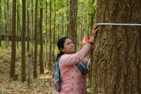 Taking Data Back Womens Sovereignty Over Land Data Tenure Facility