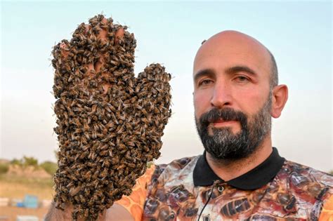 Arı Adamın Guinness Rekorlar Kitabı Hayaline Ramak Kaldı Son Dakika Türkiye Haberleri Ntv