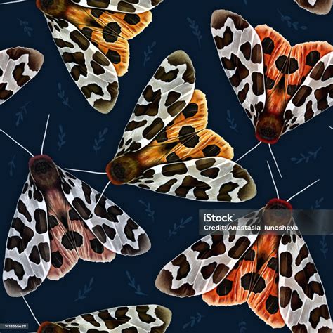 정원 호랑이 나방 또는 Arctia Caja 아름다운 나비가있는 파란색과 주황색의 원활한 패턴 화려한 손으로 그린 그림 0명에 대한 스톡 벡터 아트 및 기타 이미지 Istock