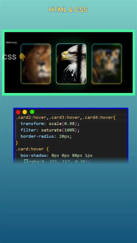 Frontend Development Html Css Js Hover Effect 😮😮