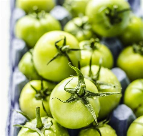 ბაზარზე პომიდვრის ახალი სახეობა გამოჩნდა რომელიც დამწიფებულიც მწვანეა Bpn