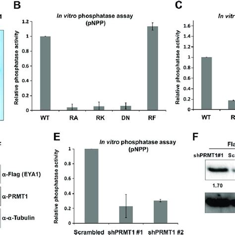 Enzymatic Activity Pnpp Hydrolysis Of Alkaline Phosphatase When Download Scientific Diagram