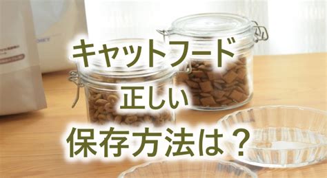 【キャットフード冷蔵庫保存はng 】おすすめ保存方法とキャットフードを紹介