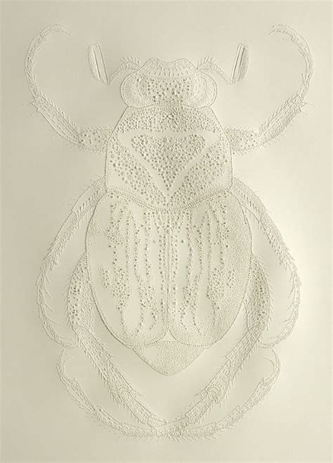 Picket Art By Pascale Malilo Insect Art Paper Cut Art Paper Art