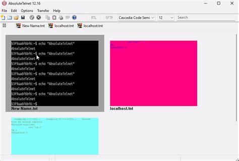 absolutetelnet tabbed interface celestial software