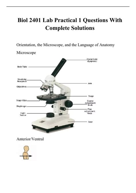 Biol 2401 Lab Practical 1 Questions With Complete Solutions Biol 2401