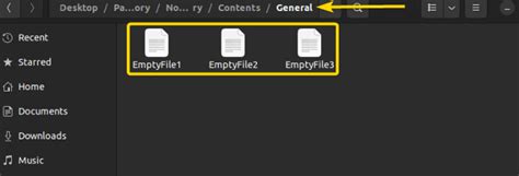 The Rm” Command In Linux 7 Practical Examples Linuxsimply