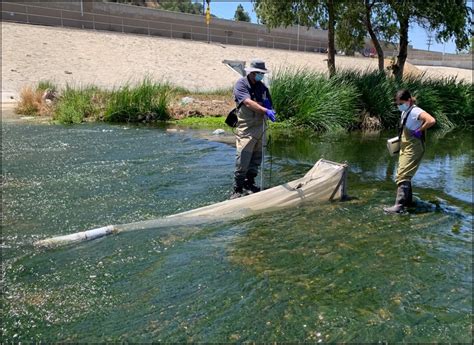 Effort Launched To Standardize Microplastics Sampling Methods