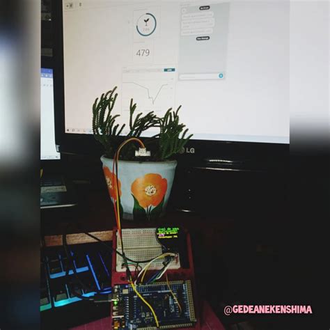 Coisas Que Amo Fazer E Nem Sempre Consigo Experimentar Coisas