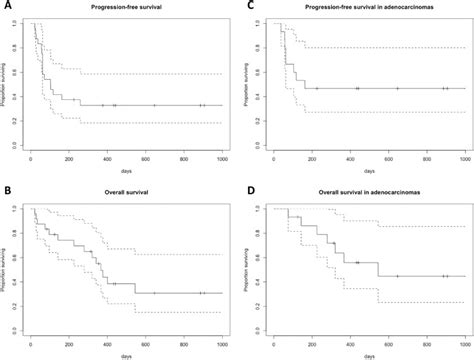 brief report first line pembrolizumab in metastatic non small cell
