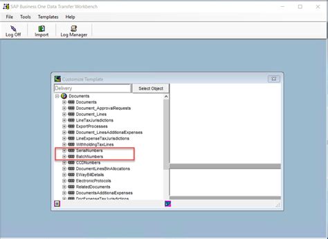 Solved Upload Delivery Note With Batches Via Dtw Sap Busi Sap