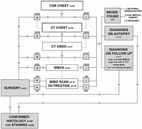 Localization Flow Chart Of All Patients With Eas Download Scientific