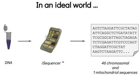 Slides An Introduction To Get Started In Genome Assembly And