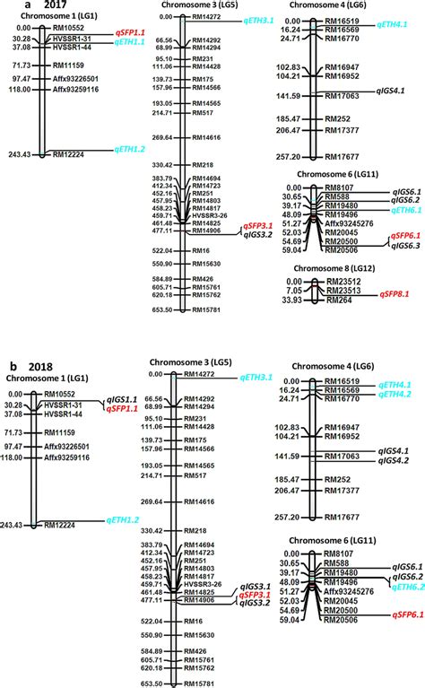 linkage map showing qtls associated with spikelet fertility sfp