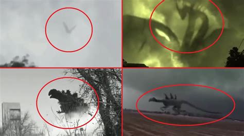 Godzilla Characters Caught On Camera Spotted In Real Life 51 Off