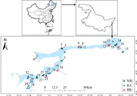 Macroinvertebrate Community Dynamics Following Wetland Restoration Insights From Taxonomic