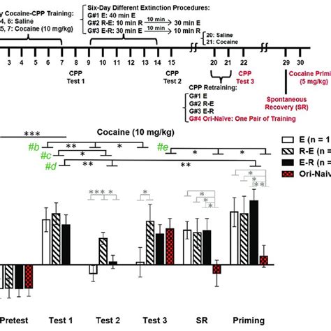 Effects Of The Extinction Retrieval Extinction And Download