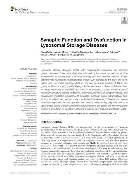 Pdf Synaptic Function And Dysfunction In Lysosomal Storage Diseases