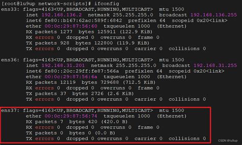 20张截图手把手教你linux网络配置【多网卡配置 双网卡配置】linux双网卡配置超详细 Csdn博客