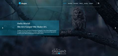 استعراض لمهاراة ال Css مستقل