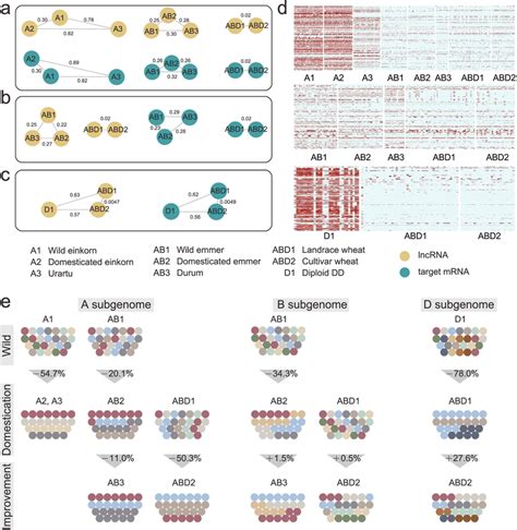 Population Divergence And Genetic Diversity Of Lncrnas And Target Mrnas