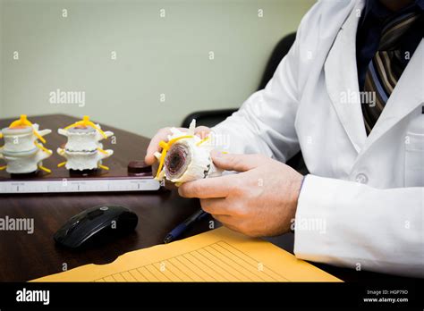 Spinal Cord Hi Res Stock Photography And Images Alamy