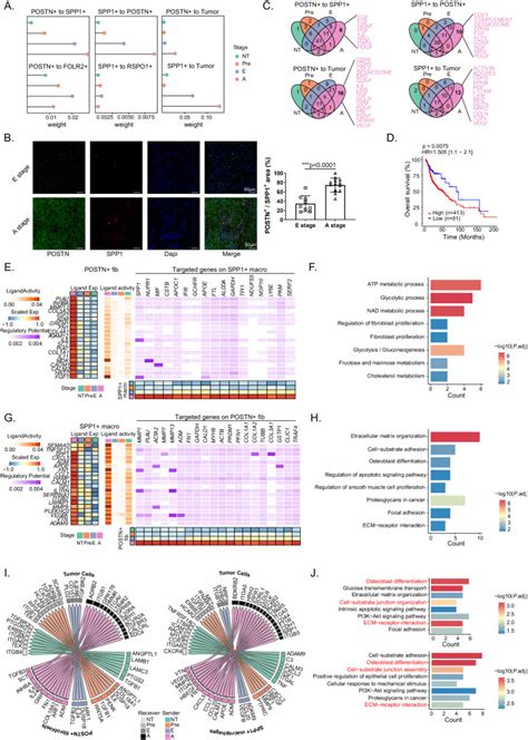 Single Cell Deciphering Of Progression Trajectories Of The Tumor Ecosystem In Head And Neck