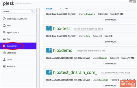 Click Databases In Plesk