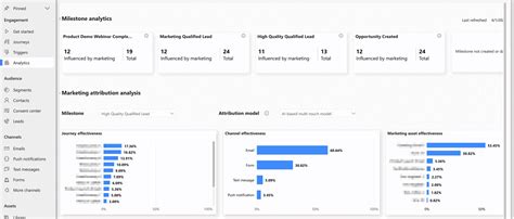 Old Dynamics 365 Customer Insights Airask Tech