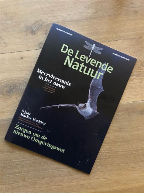 Rob Buiter Posted On Linkedin