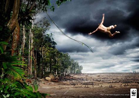 Tarzan A Un Problème Médias De Communication