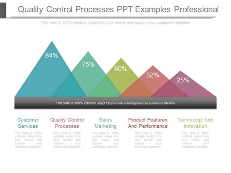 Quality Control Processes Ppt Examples Professional PowerPoint Design Template Sample