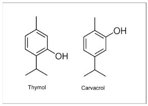 Chemical Composition Biological Activity And Potential Uses Of