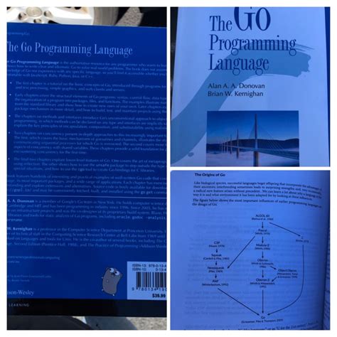 Reading The Classic Golang Book While Waiting For A Table For