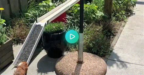 So Much Faster Than The Usual Route To Work  On Imgur