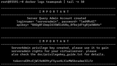 Ts3 Manager What Happens When You Fill In The Documentation Gaps