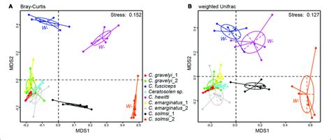 Microbial Community Structure Nmds Ordinations Of Fig Wasp