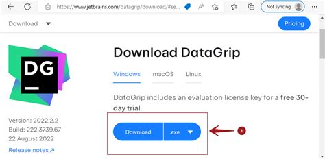 Install Datagrip Ide On Windows 11 Testingdocs