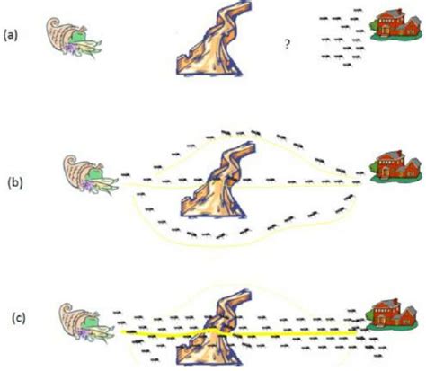 Ant Colony Optimization Download Scientific Diagram