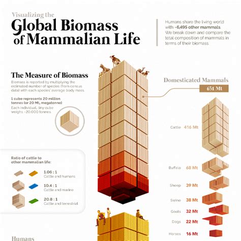 Shop Visual Capitalist Licensing