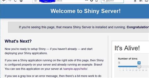 DataTechNotes How To Install Shiny Server On CentOS