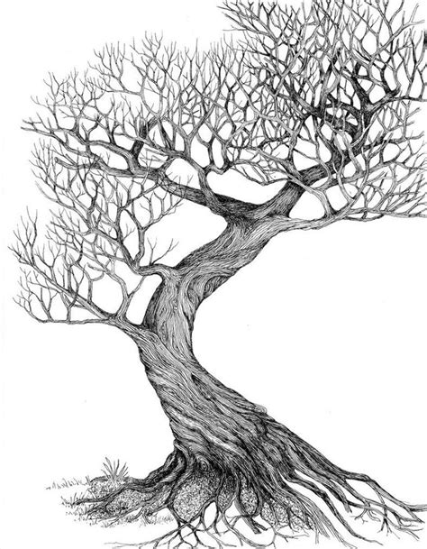 An Ink Drawing Of A Tree With Its Roots Exposed And No Leaves On The Branches