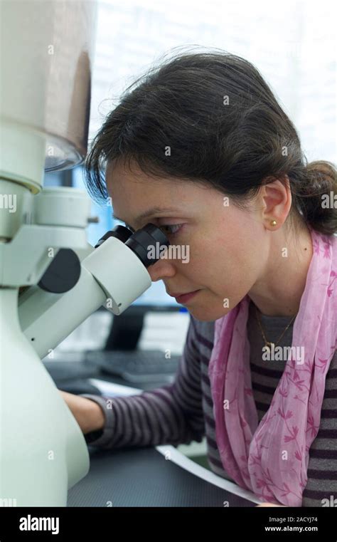 Semiconductor Microscopy Ibm Research French Semiconductor Engineer