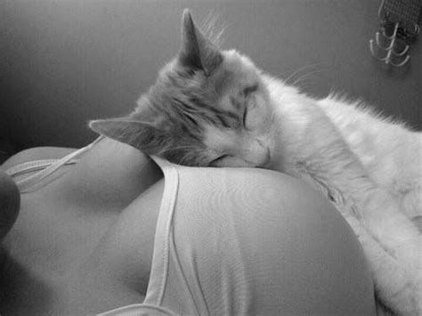 Hello Kitty Soft And Warm With A Soothing Faint Sound Of A Heartbeat Closes Thing To Kitty