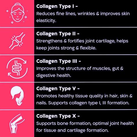Collagen Protein Explained How Important Is It For Fitness Set For Set